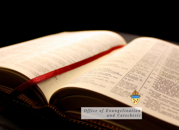 The Catholic Scriptures – Diocese of Baton Rouge